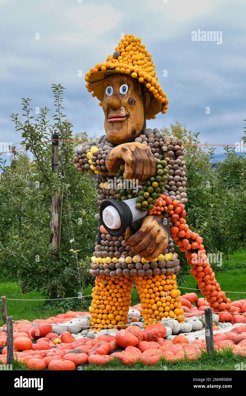 Figure Fireman Pumpkins (Cucurbita Stock Photo - Alamy