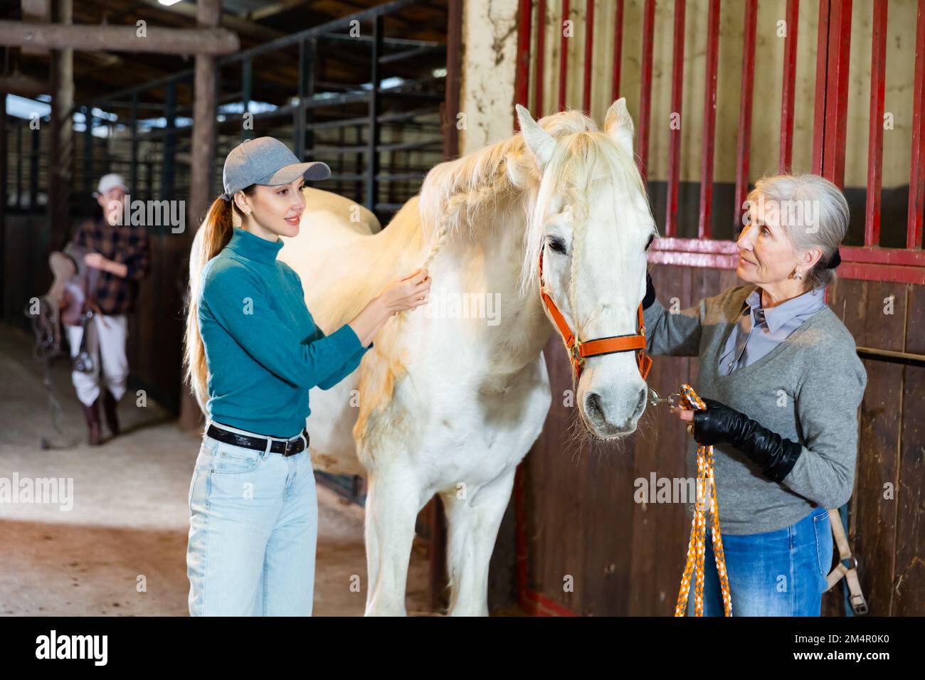 Girl braiding horse mane hi-res stock photography and images - Alamy