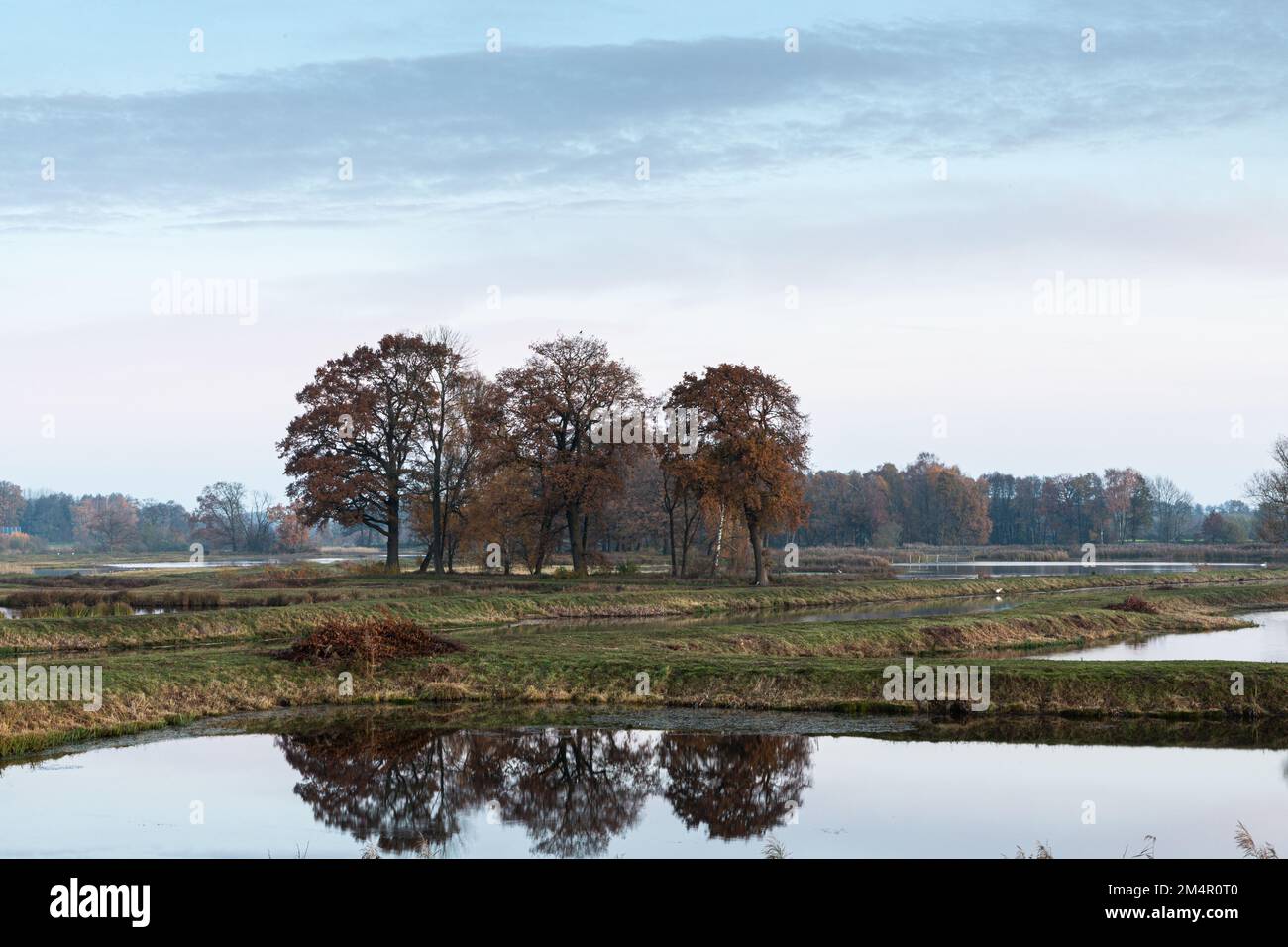 Three trees stand on a small island and are illuminated by the rst red ...