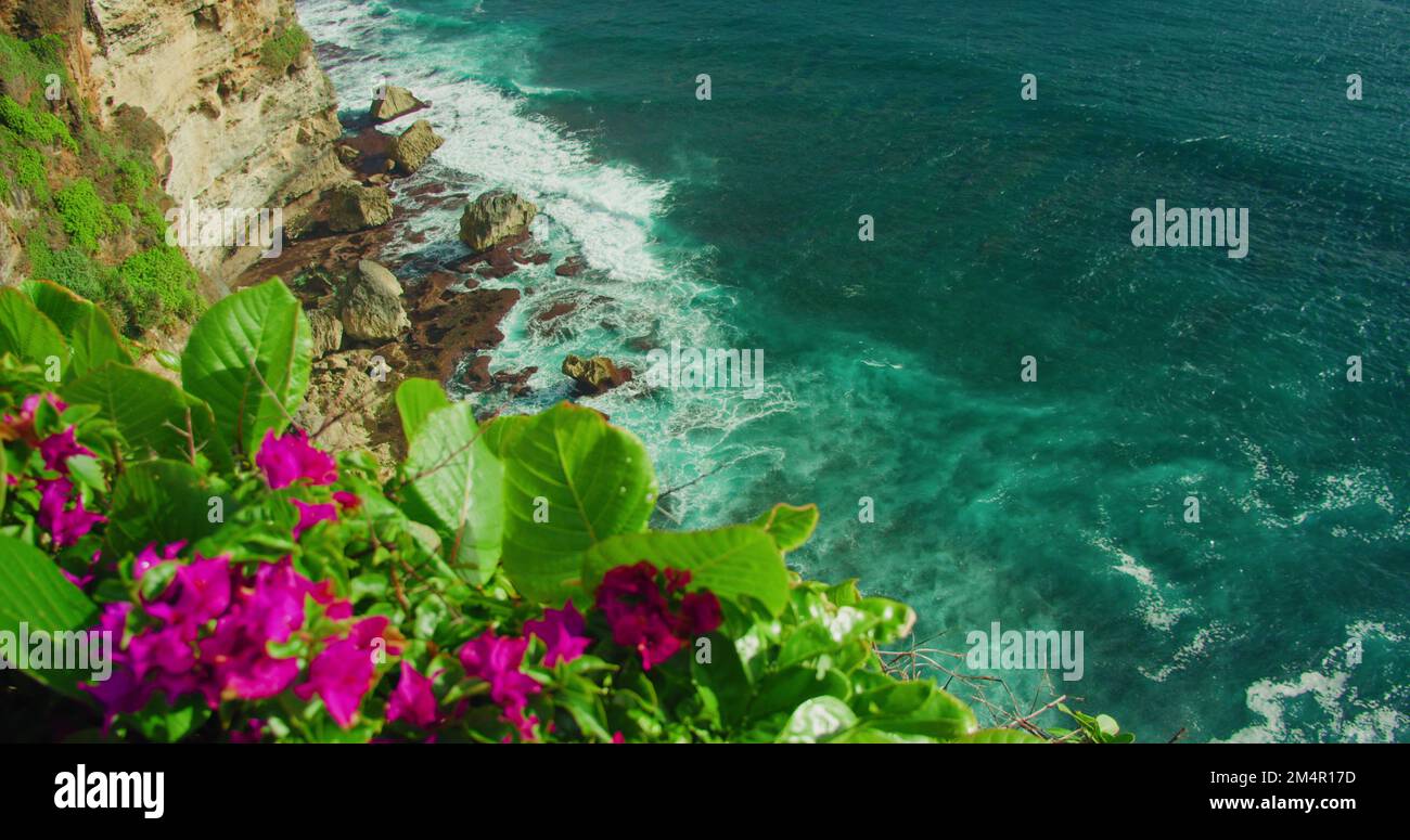 Colorful flowering beachfront of Uluwatu Temple Bali Island Indonesia ...
