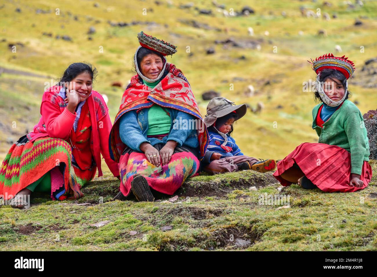 Quechua Indian family in traditional dress sitting in a meadow, Andes, Ollantaytambo, Urubamba ...
