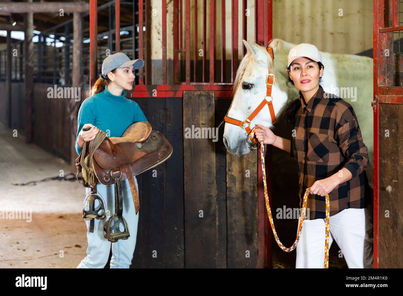 Young horsewoman holding saddle while Asian female stable keeper ...