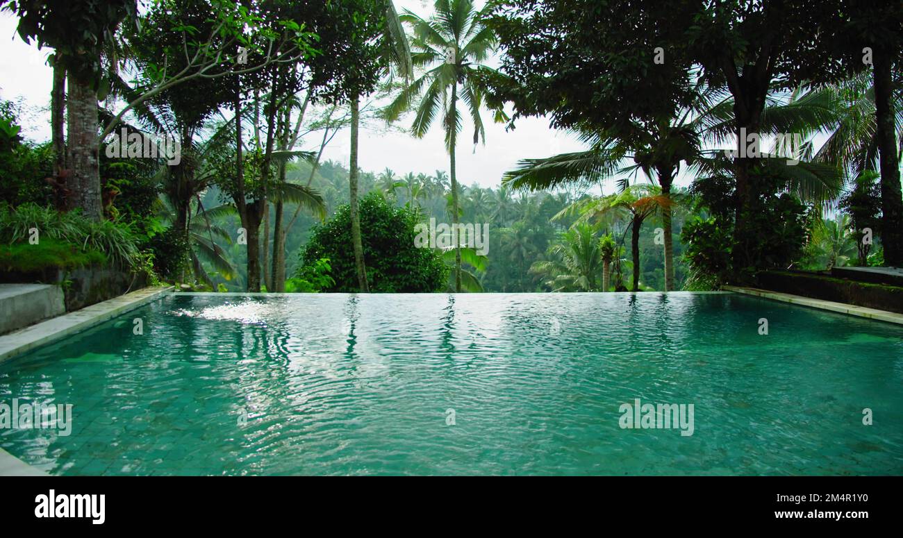 Exotic Tropical Pools