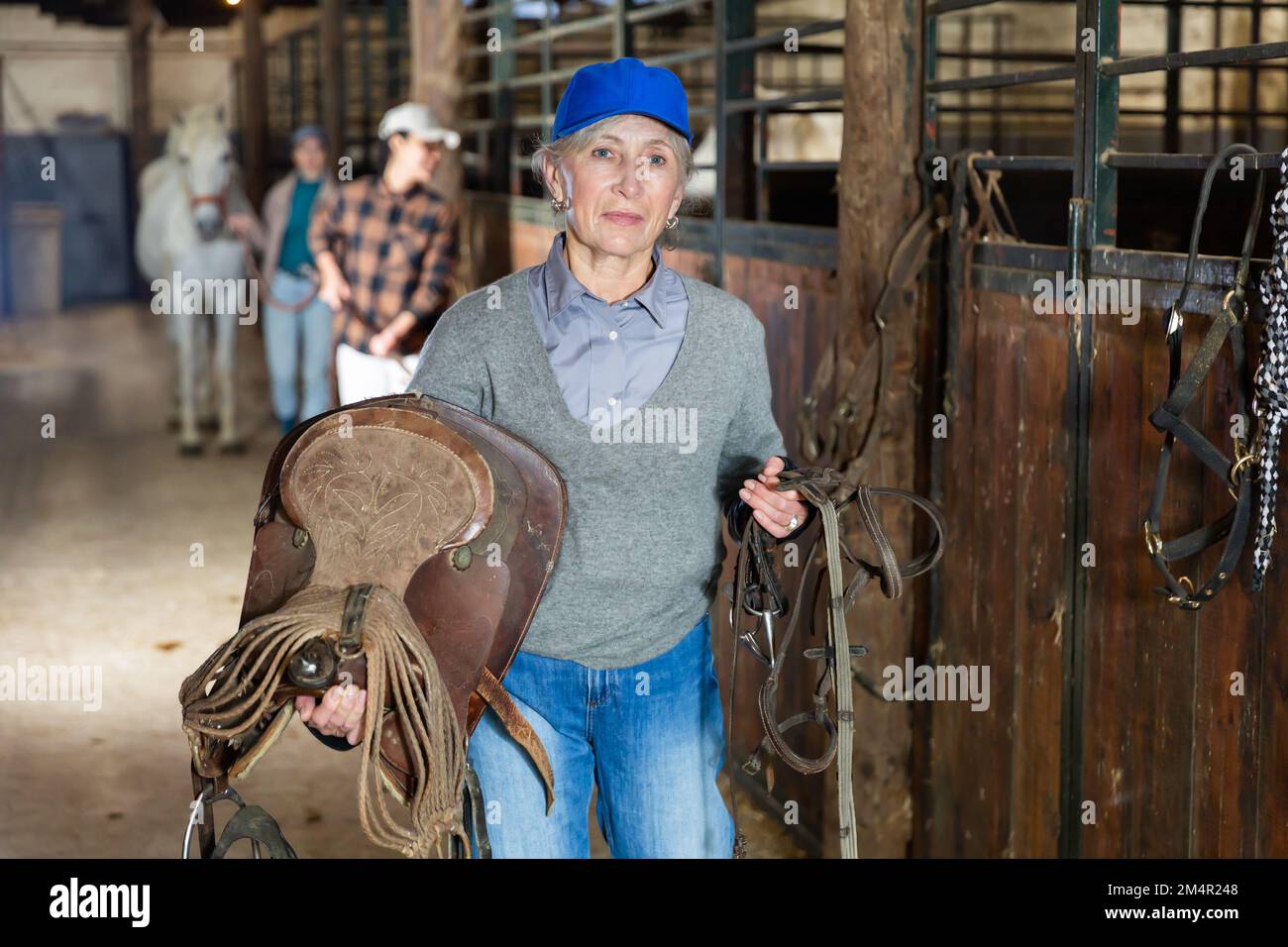 Older female stable keeper carrying horse saddle and harness Stock ...