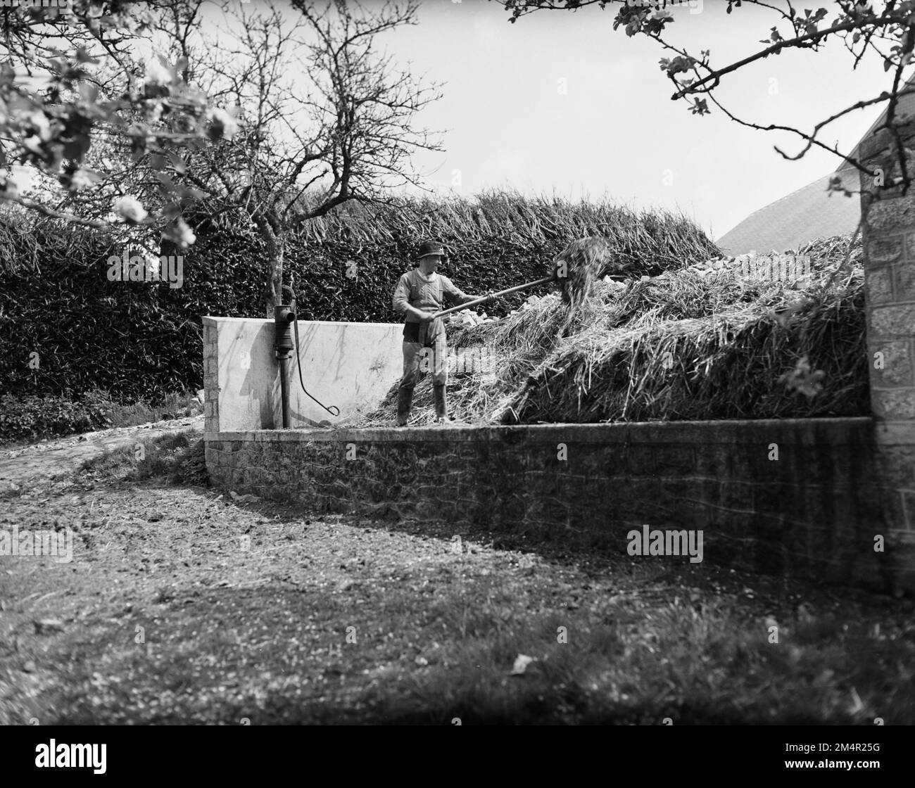 French Agriculture - Grassland Conference. Photographs of Marshall Plan ...