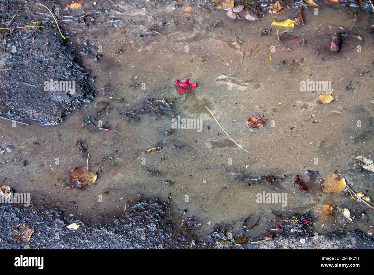 Nyc, Ny, USA. 18th Dec, 2022. Dirty water in mud puddle. (Credit Image ...
