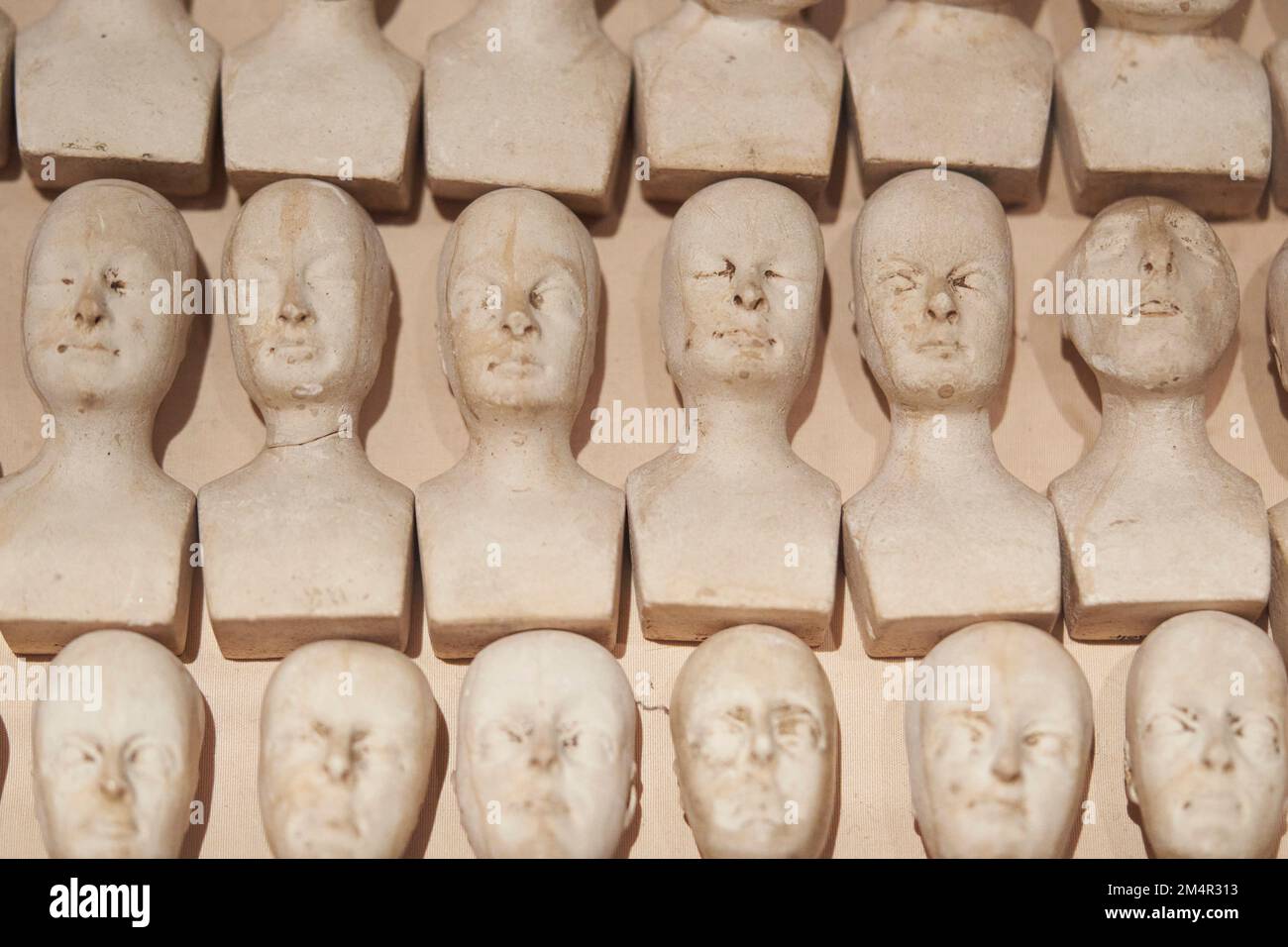 Miniature Heads for teaching Phrenology Stock Photo - Alamy