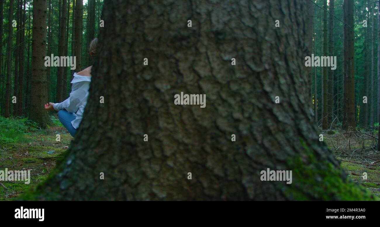 Woman meditating, zen yoga meditation practice in nature. Rear view of ...
