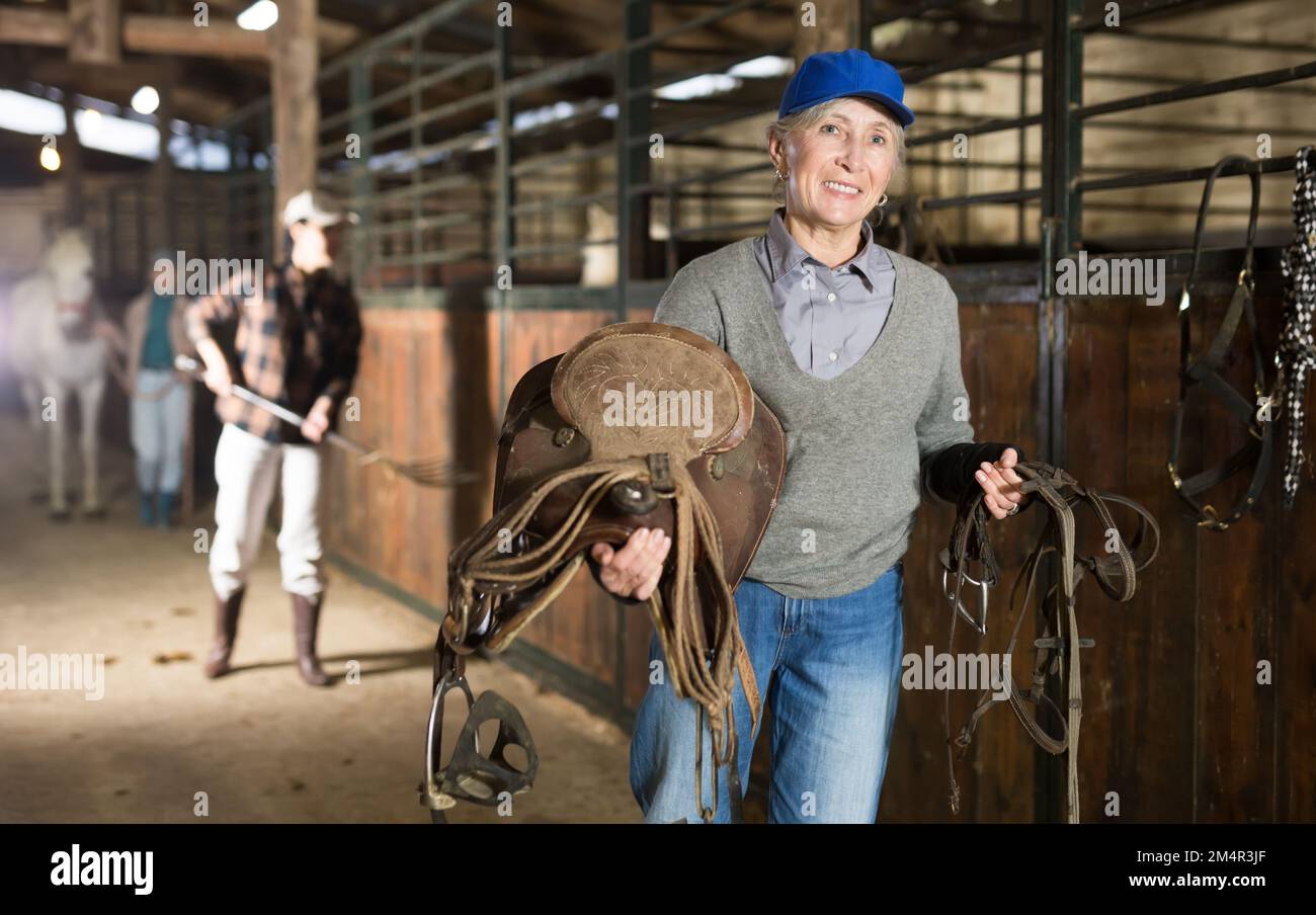 Older female stable keeper carrying horse saddle and harness Stock ...