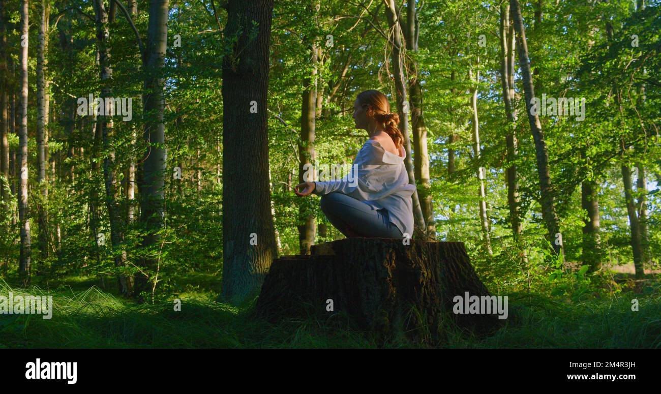 Amazing view woman meditate sitting ion a stump in dense forest ...