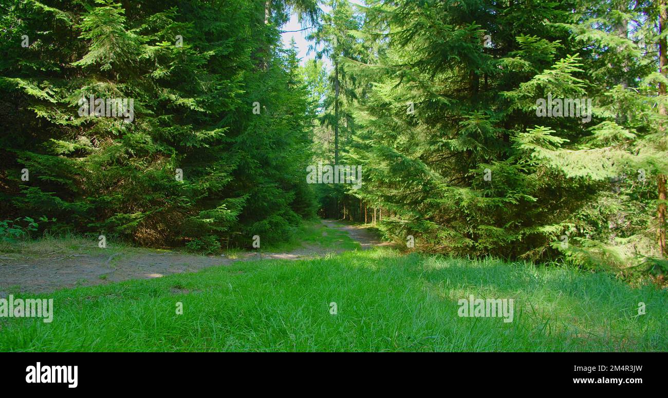 Slow dolly hi-res stock photography and images - Alamy