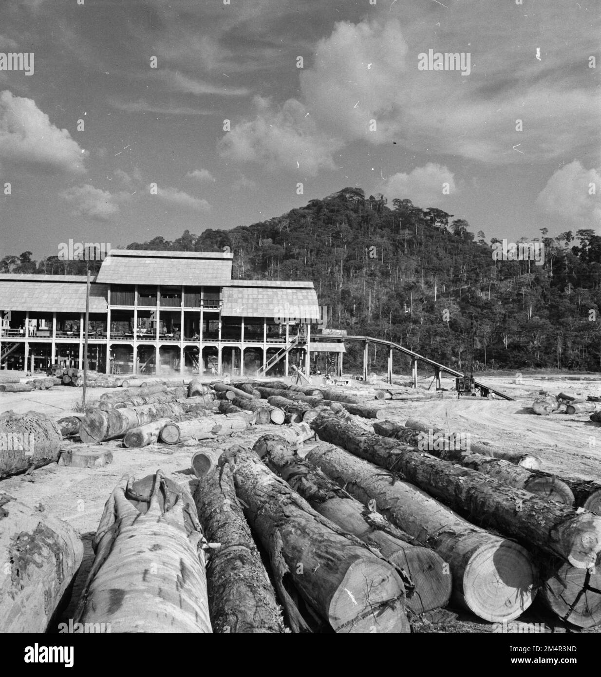 African Timber. Photographs of Marshall Plan Programs, Exhibits, and ...