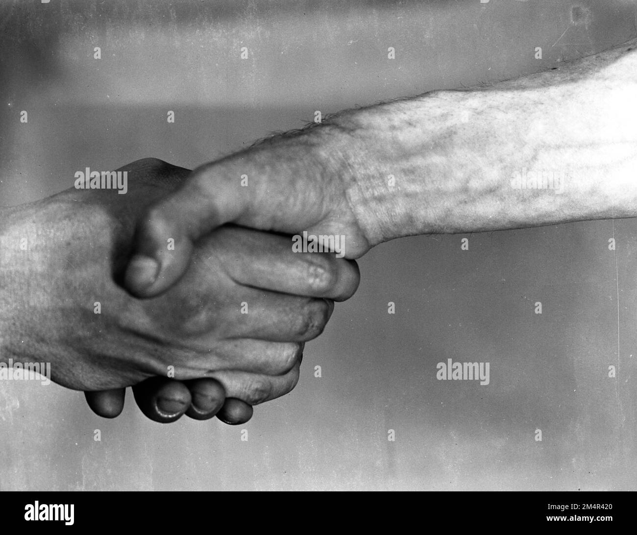 Two Hands Grasping. Photographs of Marshall Plan Programs, Exhibits ...