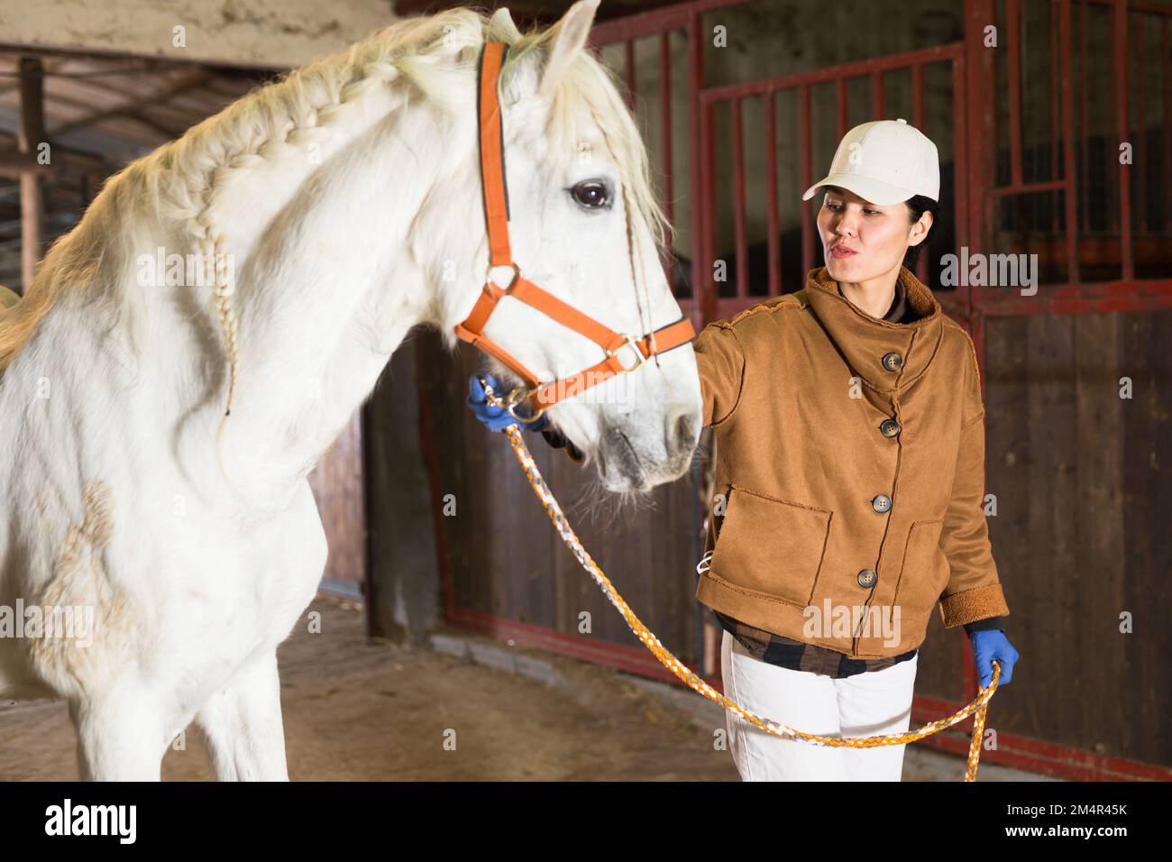 Asian female stable worker leading horse by bridle in barn Stock Photo ...