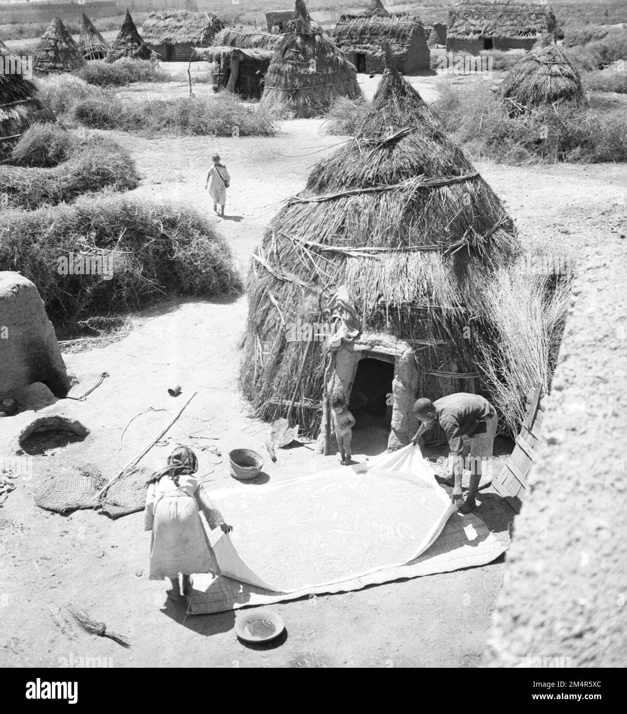 Moroccan Farming. Photographs of Marshall Plan Programs, Exhibits, and ...