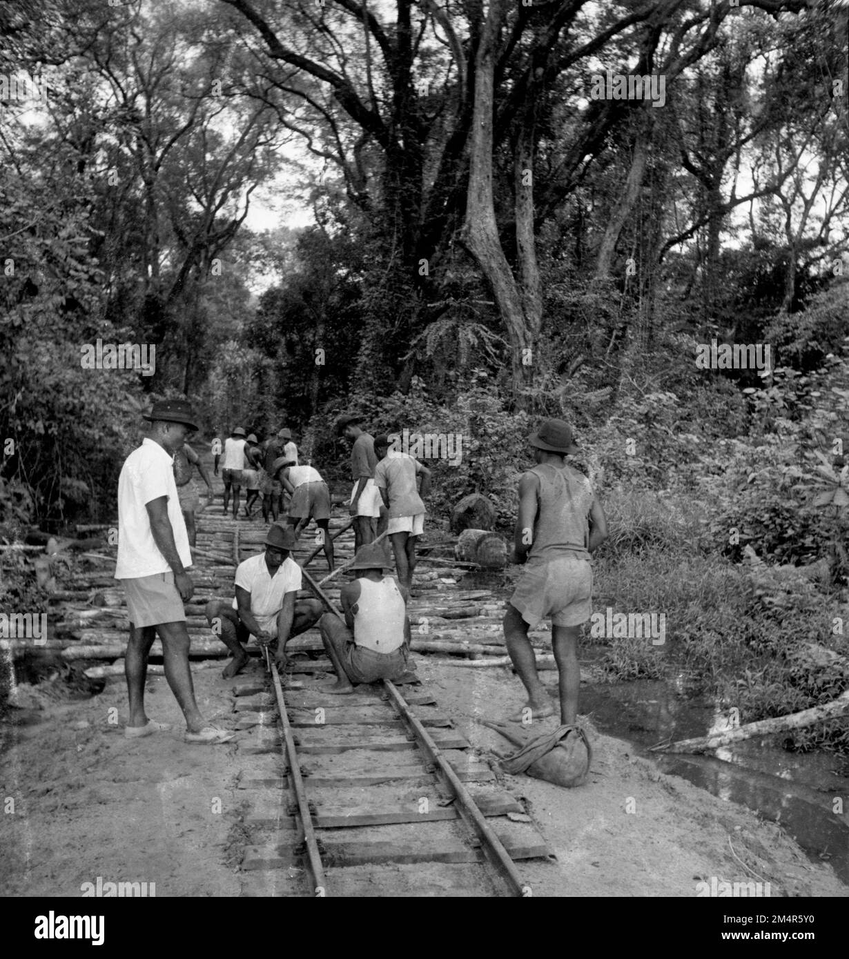 Magazine Unit - Logging in the Gabon. Photographs of Marshall Plan ...