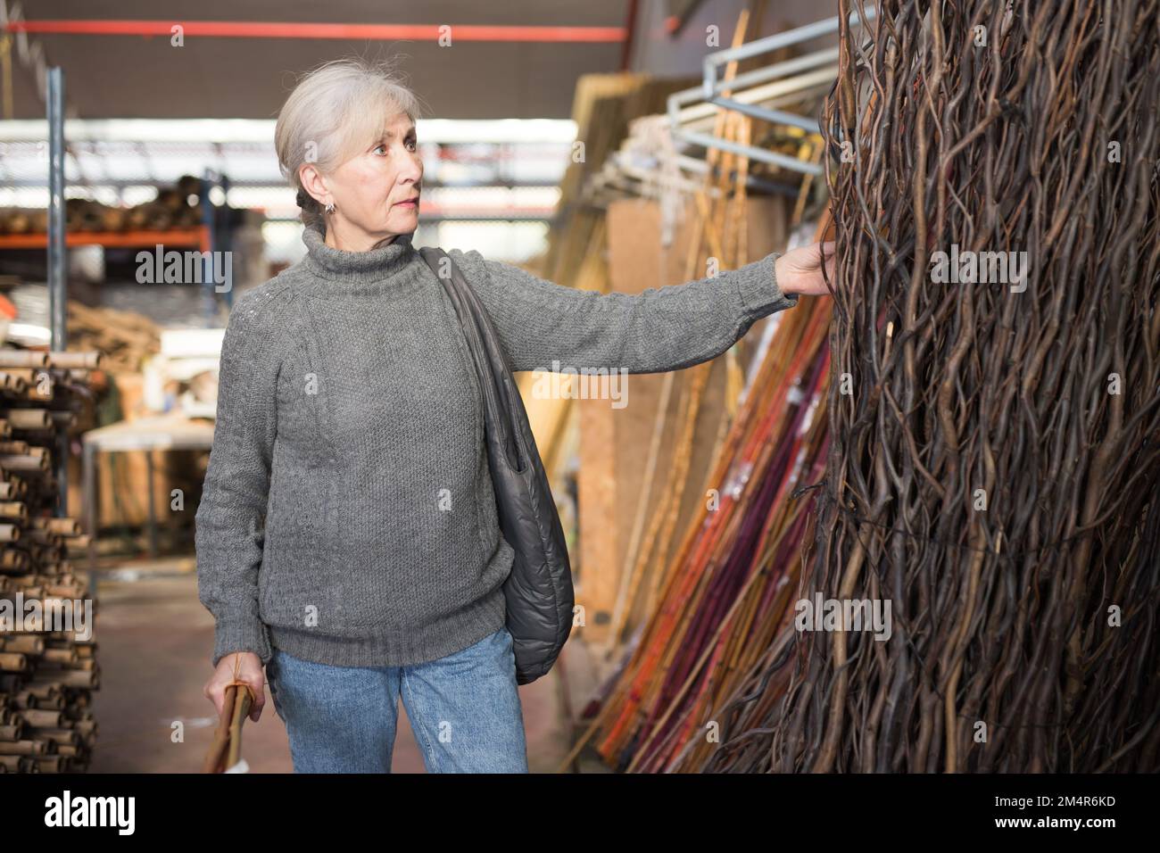 Senior woman choosing decorative branches in store Stock Photo - Alamy