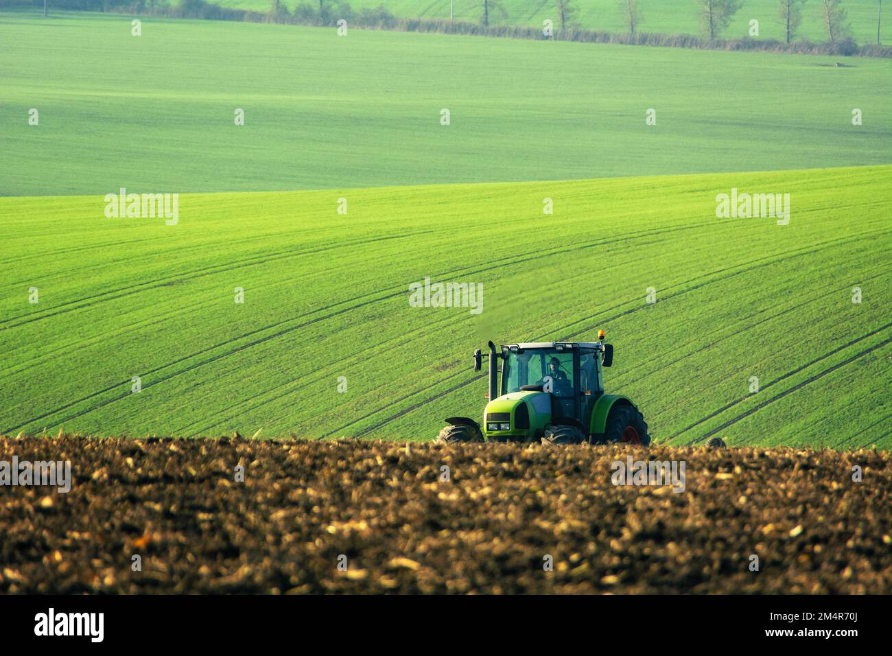 The tractor works the land. Claas Ares 836 RZ Stock Photo - Alamy