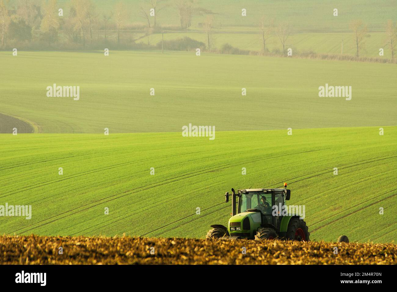 The tractor works the land. Claas Ares 836 RZ Stock Photo - Alamy
