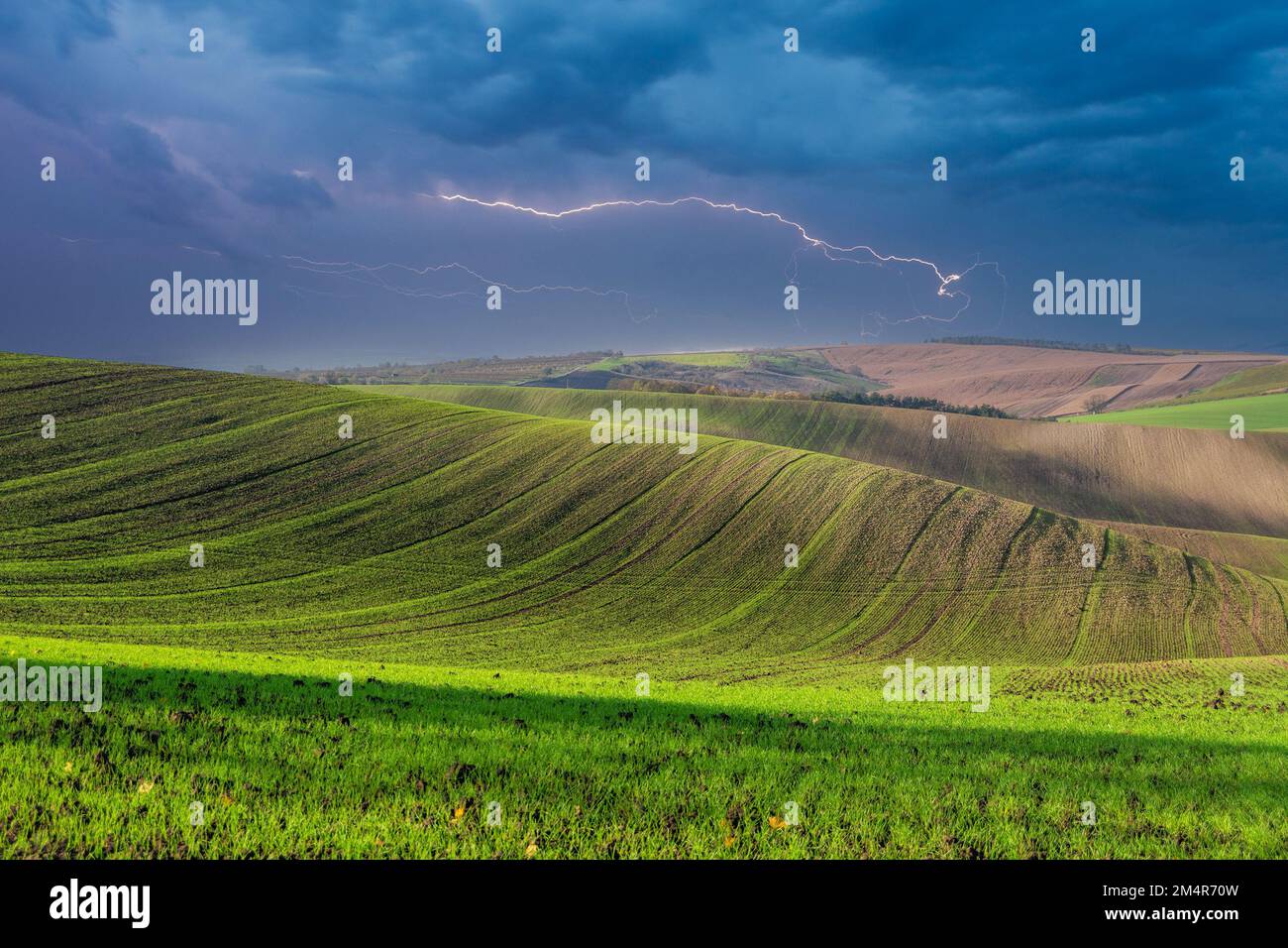Landscape nature with lightning and green grass Stock Photo - Alamy