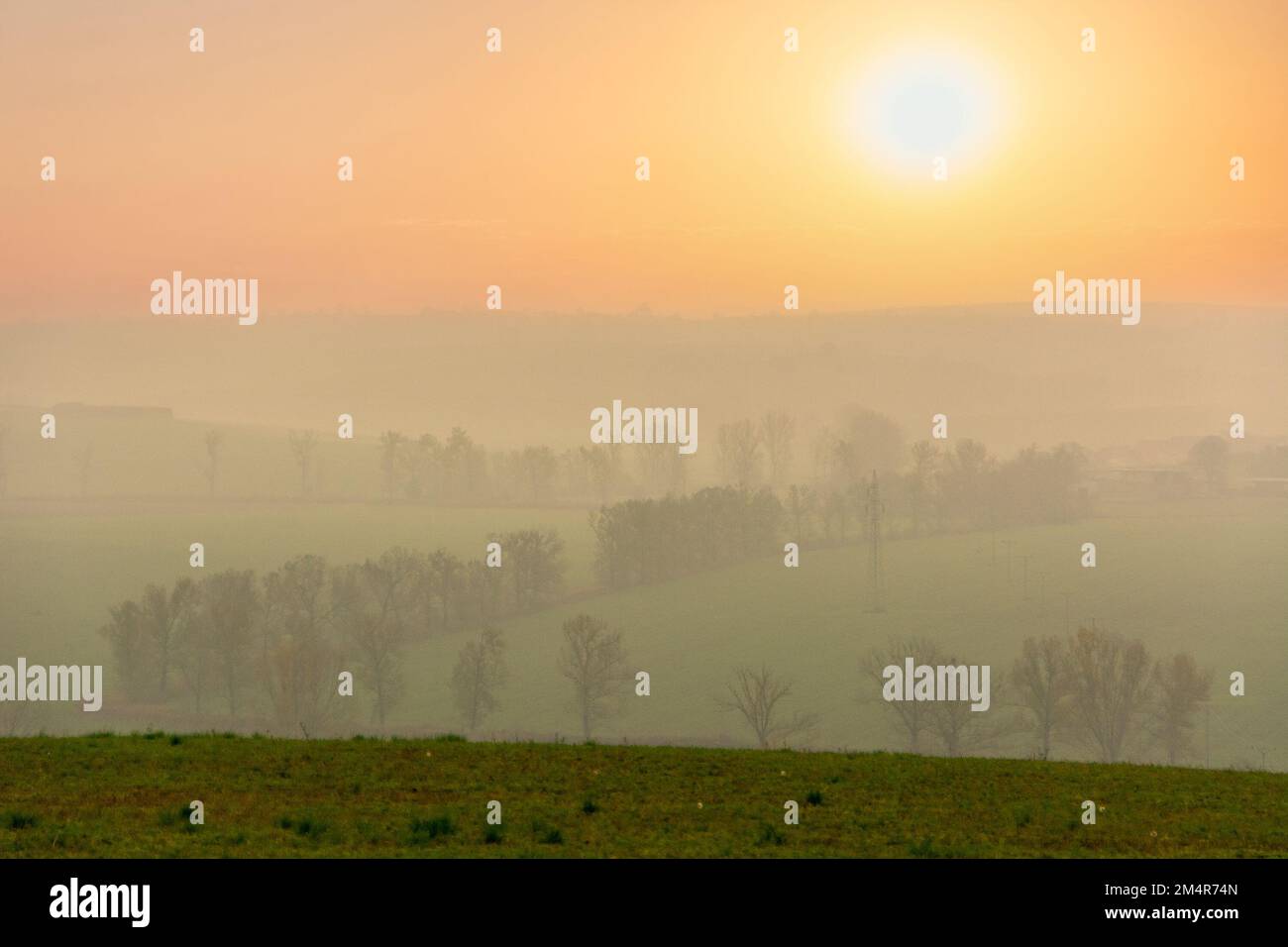 Beautiful morning dawn with fog in the field Stock Photo - Alamy