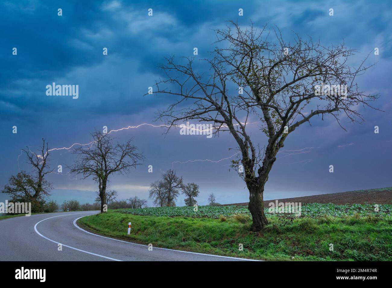 Landscape with lightning, tree, field, road. Picturesque background ...