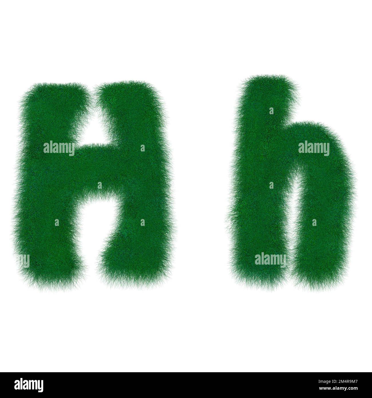 Moss green letter H Stock Photo - Alamy