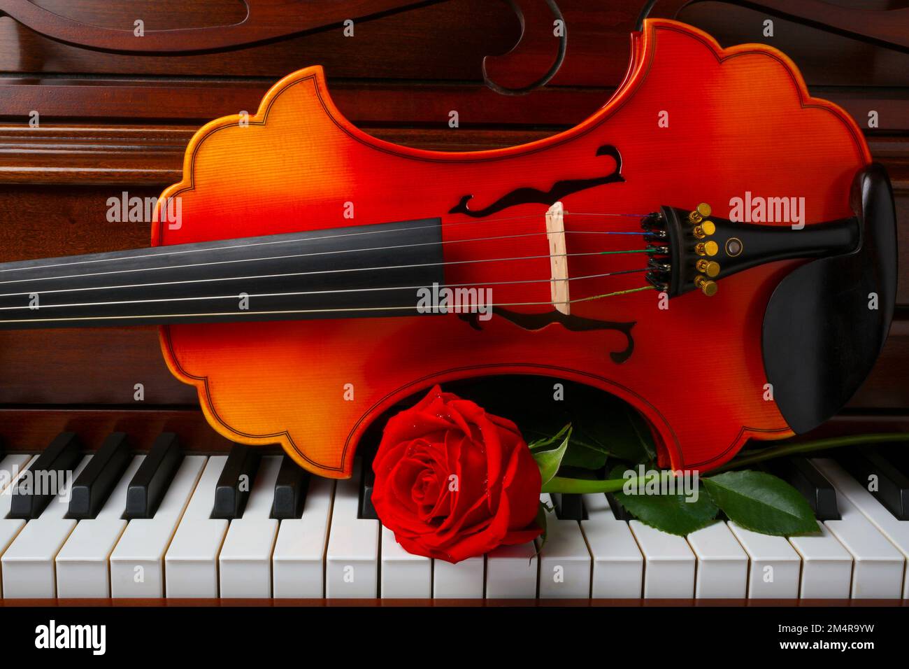 Beautiful Red Rose With Baroque Violin On Piano Keys still life Stock ...