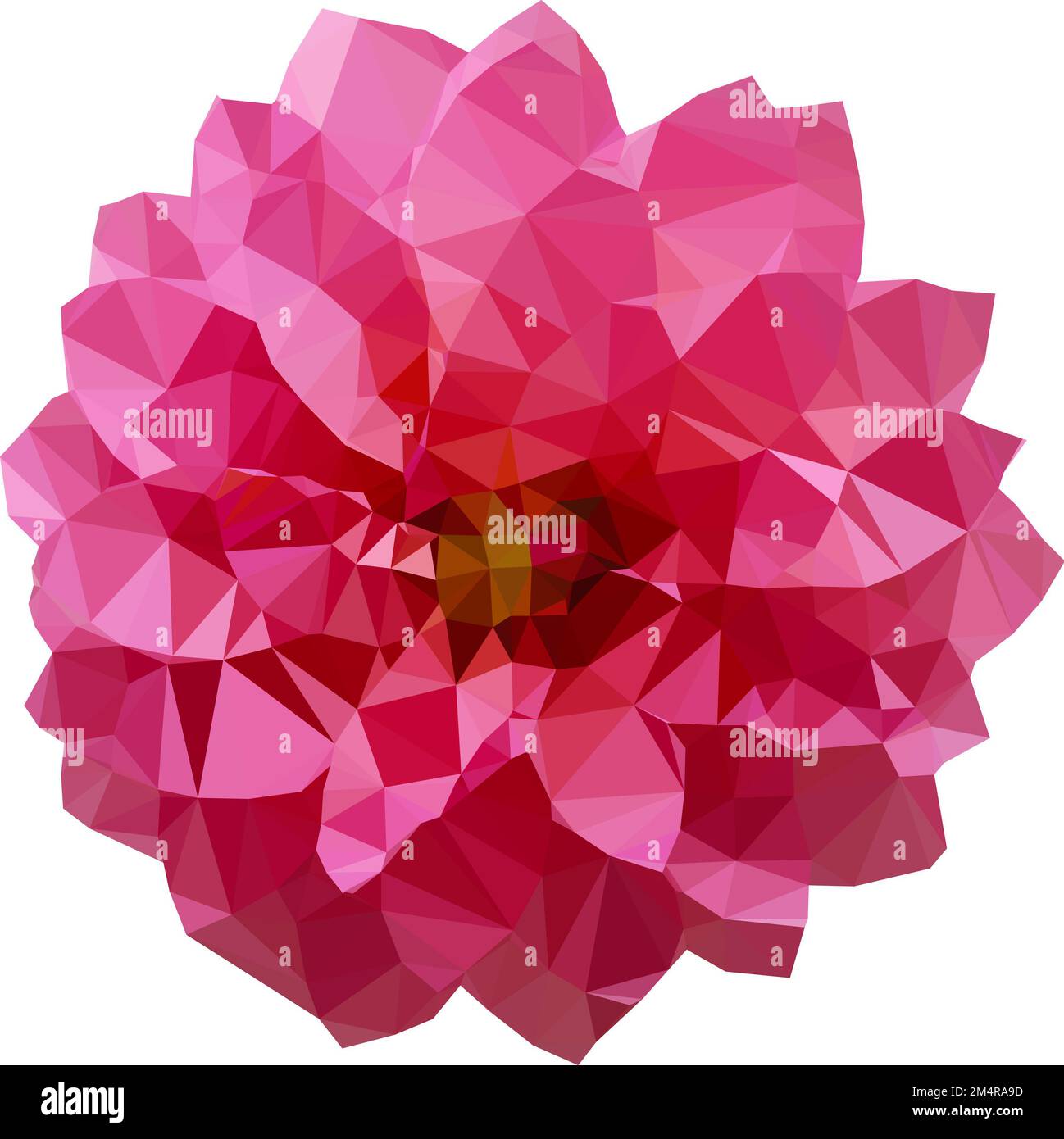 Trigonous flower hi-res stock photography and images - Alamy