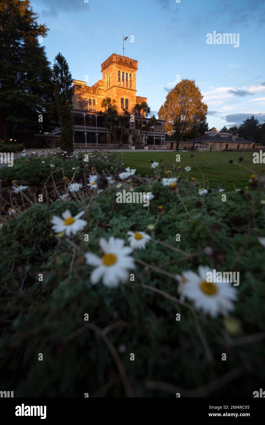 The Larnach Castle shines in the evening light viewed from the front in ...