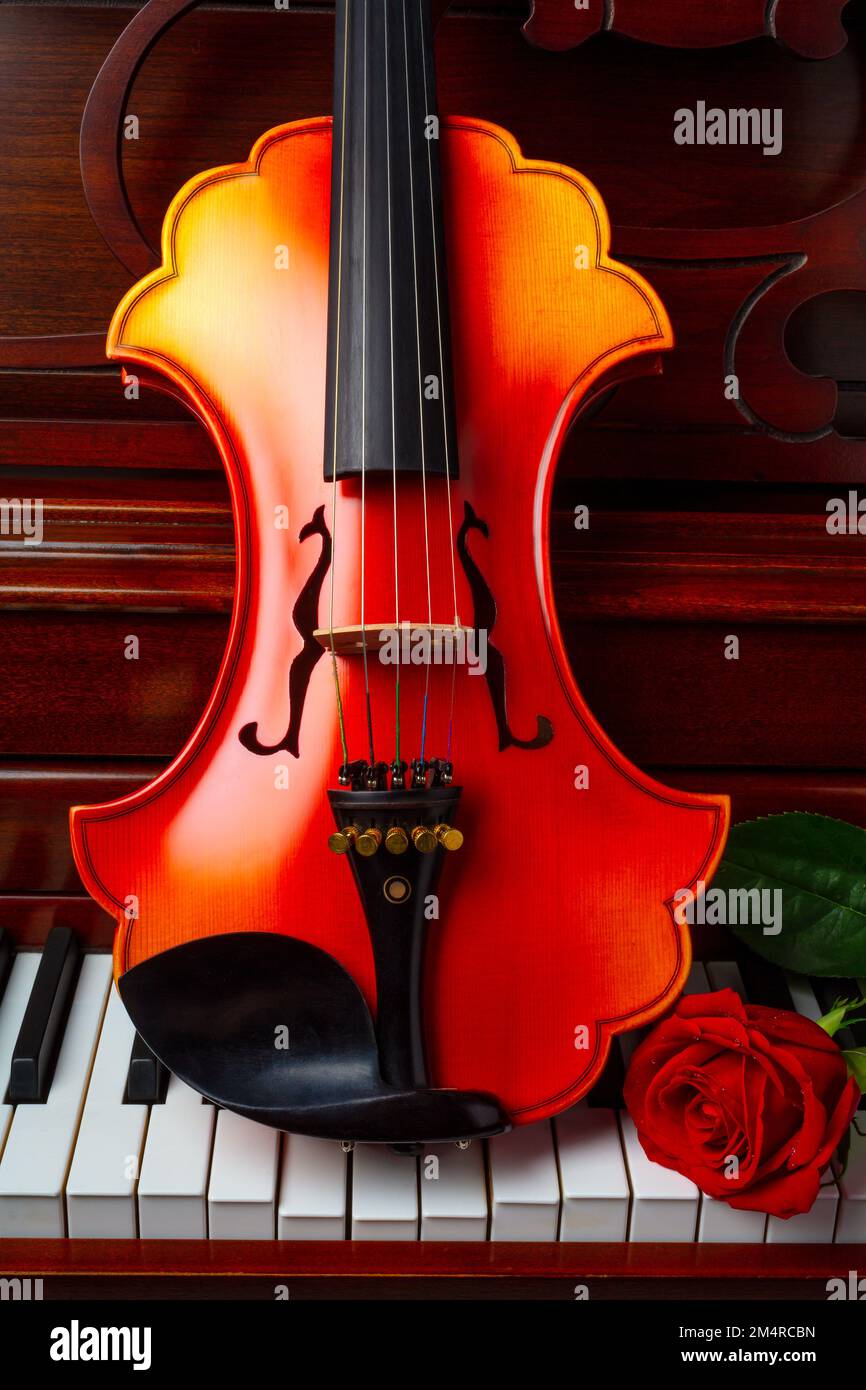 Red roses violin hi-res stock photography and images - Alamy