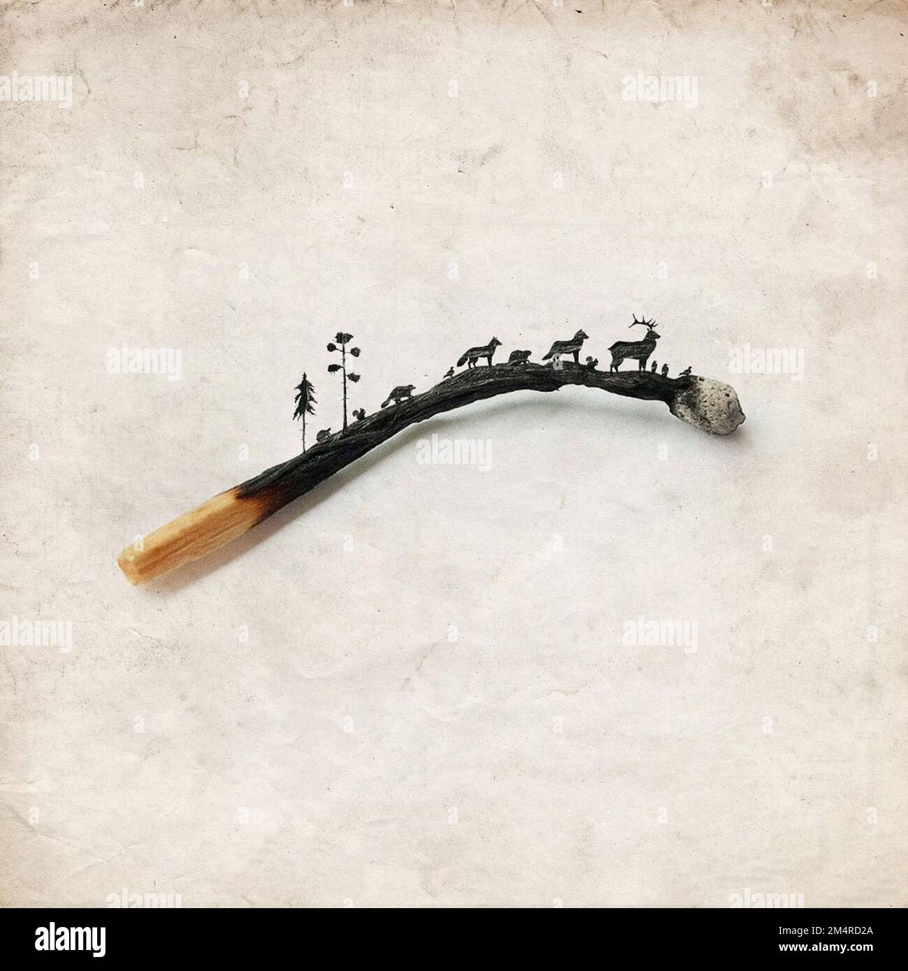 An illustration of a burned match and animal figures - the concept of ...