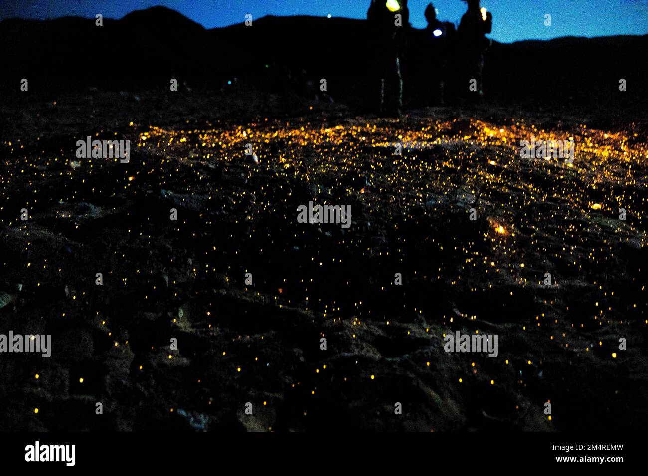 U.S. Marines with 3rd Battalion, 7th Marine Regiment conduct a live ...