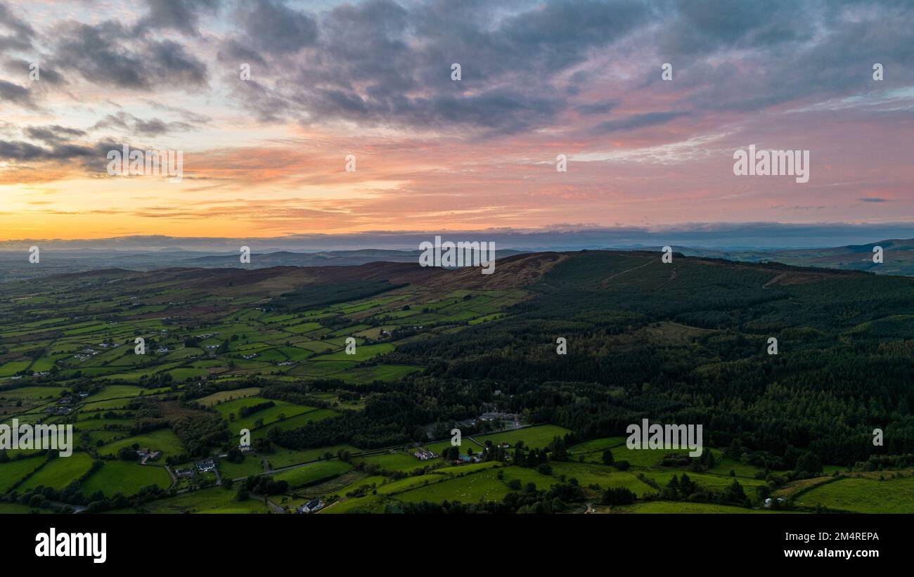 An aerial view of greenery fields with dense trees during sunset Stock ...