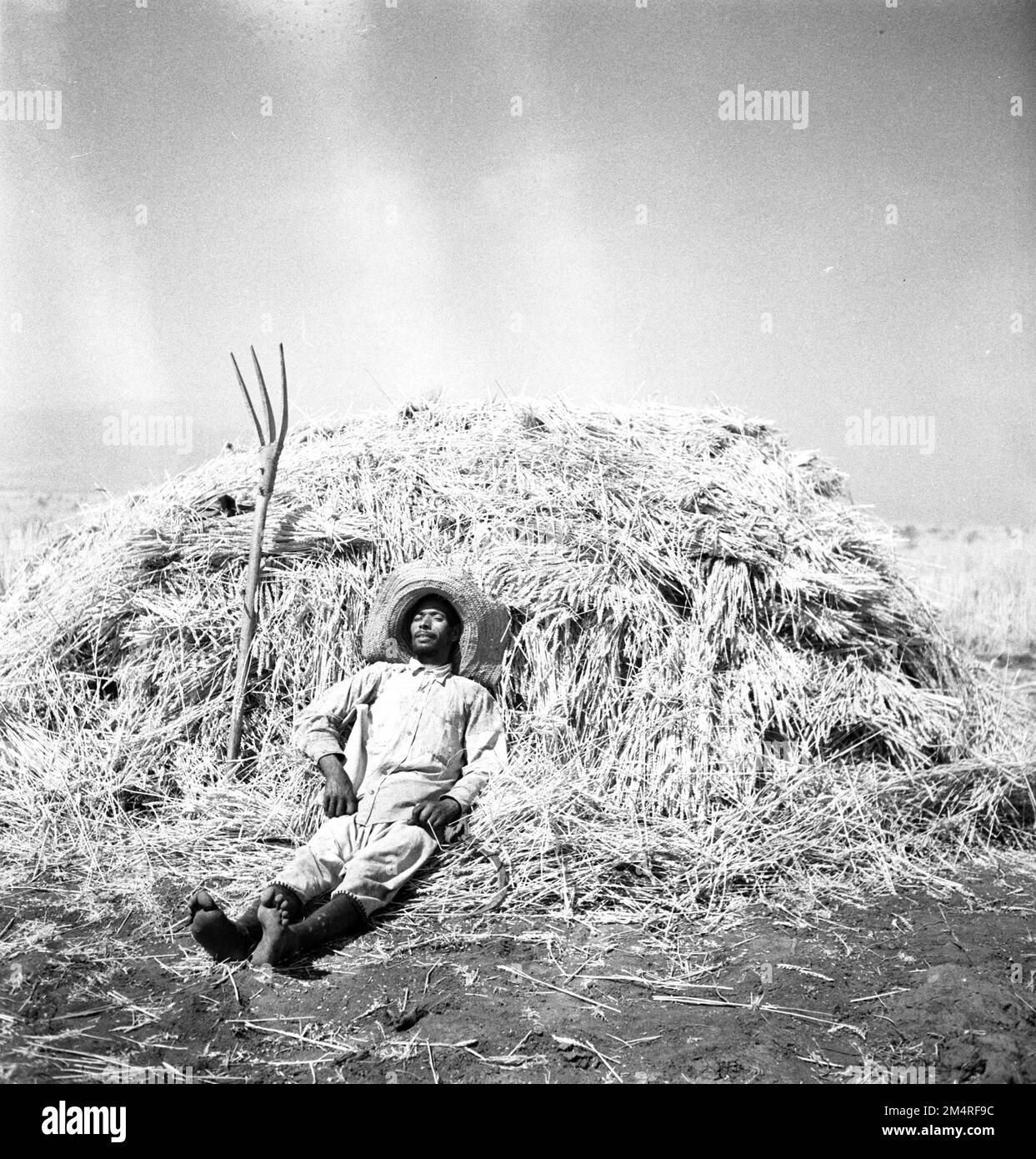 Moroccan Farming. Photographs of Marshall Plan Programs, Exhibits, and ...