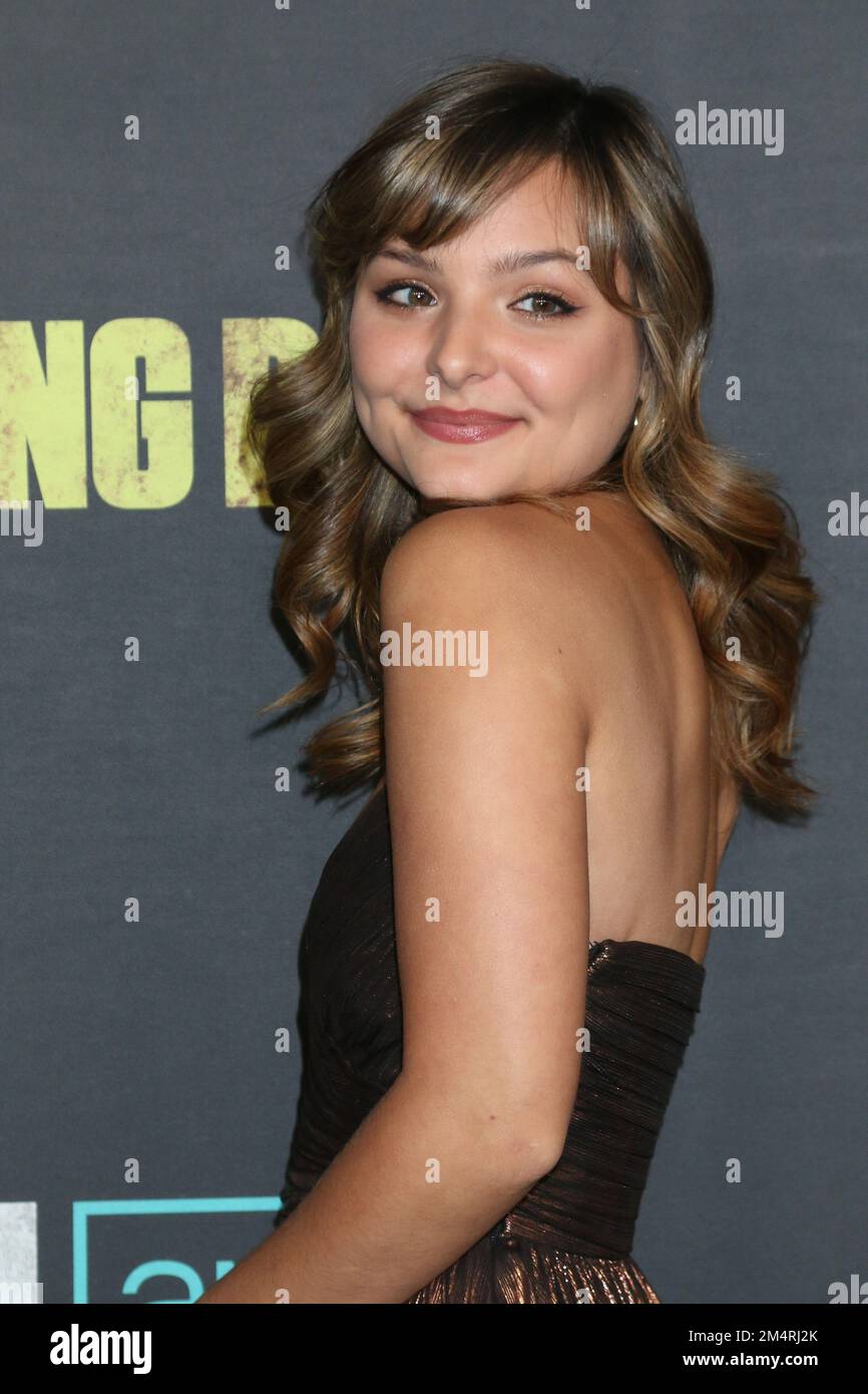 The Walking Dead Finale at the Orpheum Theatre on November 20, 2022 in ...