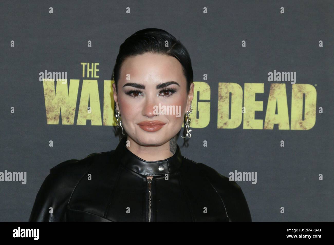 The Walking Dead Finale at the Orpheum Theatre on November 20, 2022 in ...