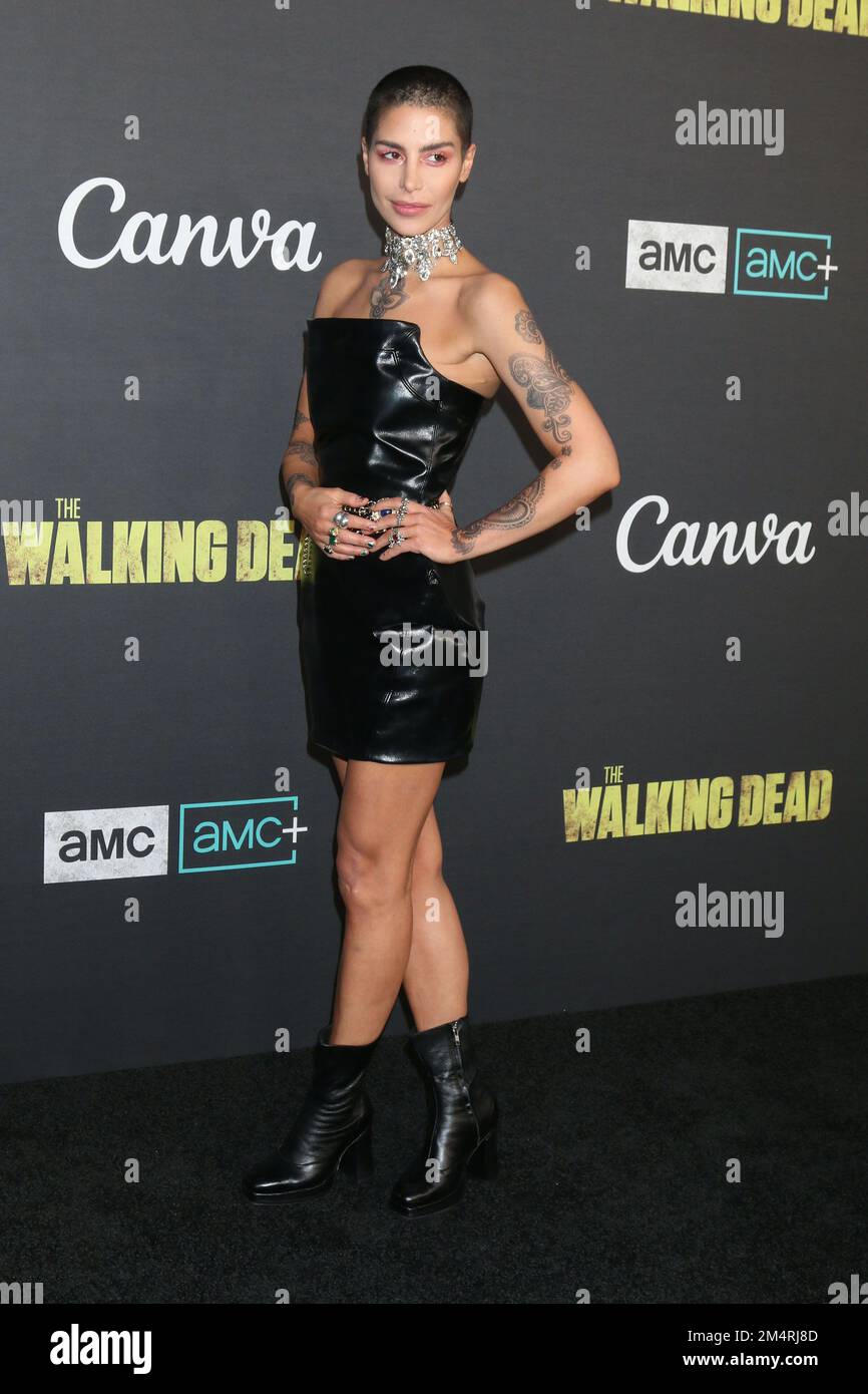 The Walking Dead Finale at the Orpheum Theatre on November 20, 2022 in ...