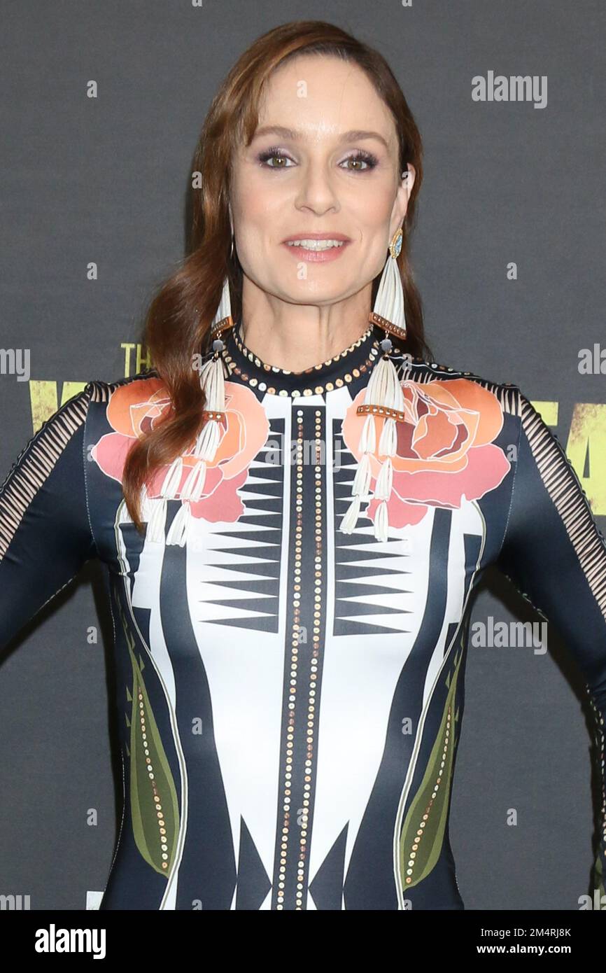 The Walking Dead Finale at the Orpheum Theatre on November 20, 2022 in ...