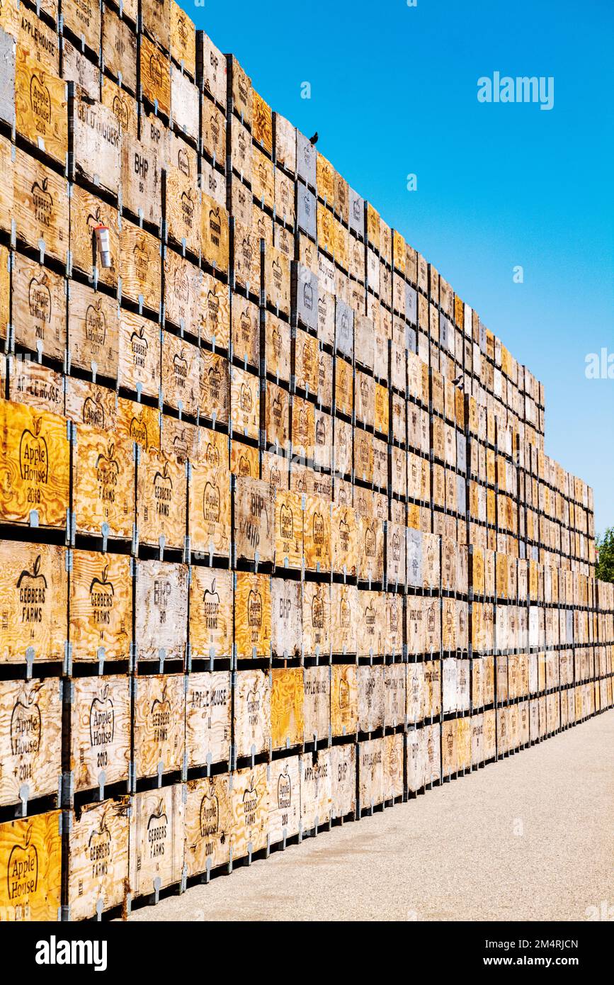 Large stack of wooden crates full of ripe apples; Palouse Region ...