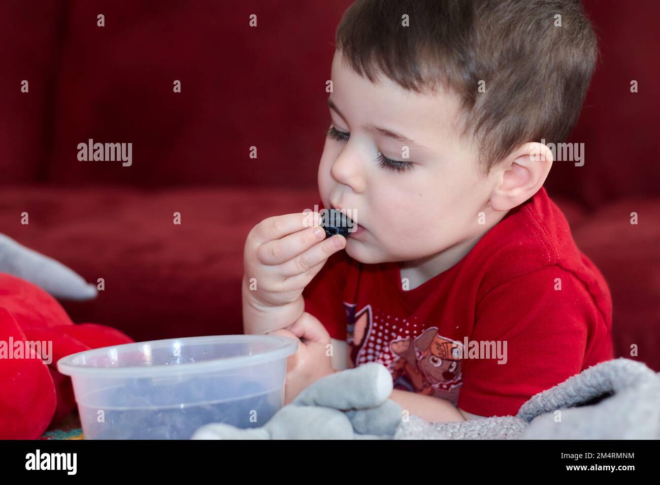 adorable boy is watching tv and eating blueberries in the livingroom ...