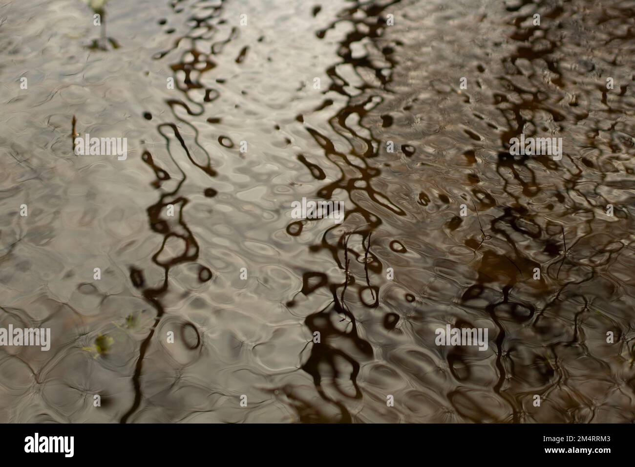 Ripples on water. Texture of water. Small waves on surface. Chaotic ...