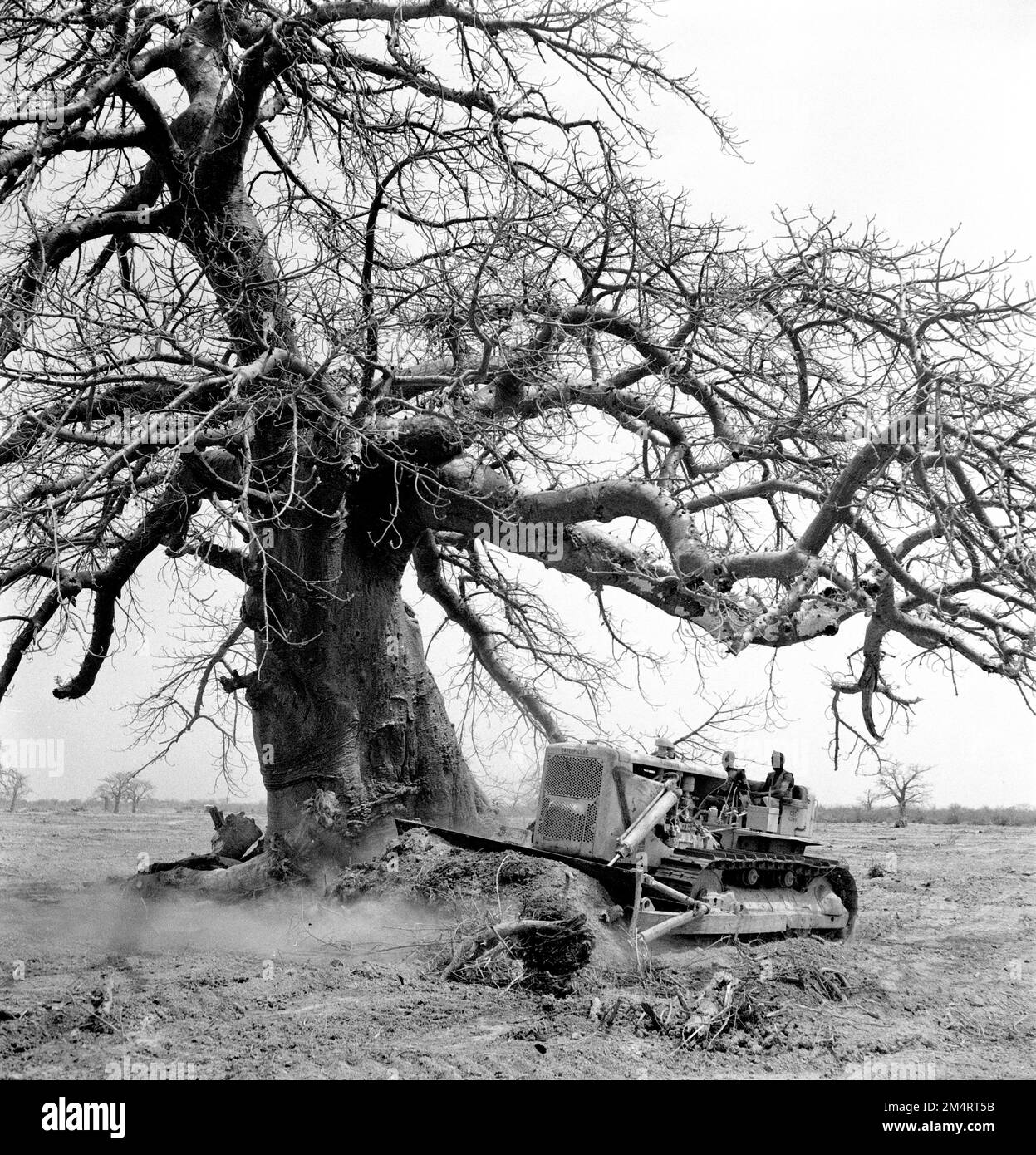 Development of French Sudan Bamaku to Timbuctu. Photographs of Marshall ...