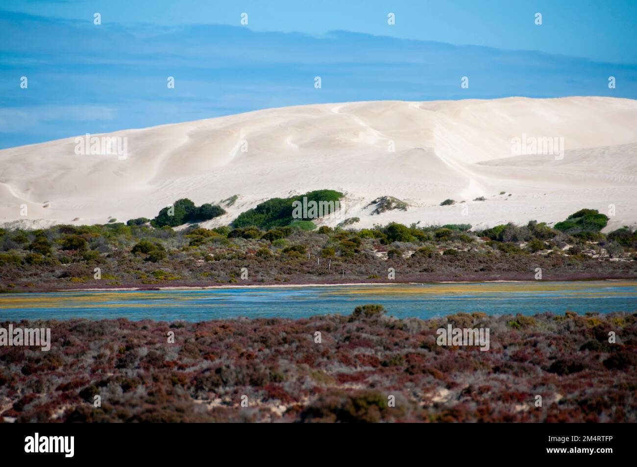 Point Sinclair Sand Dunes - South Australia Stock Photo - Alamy
