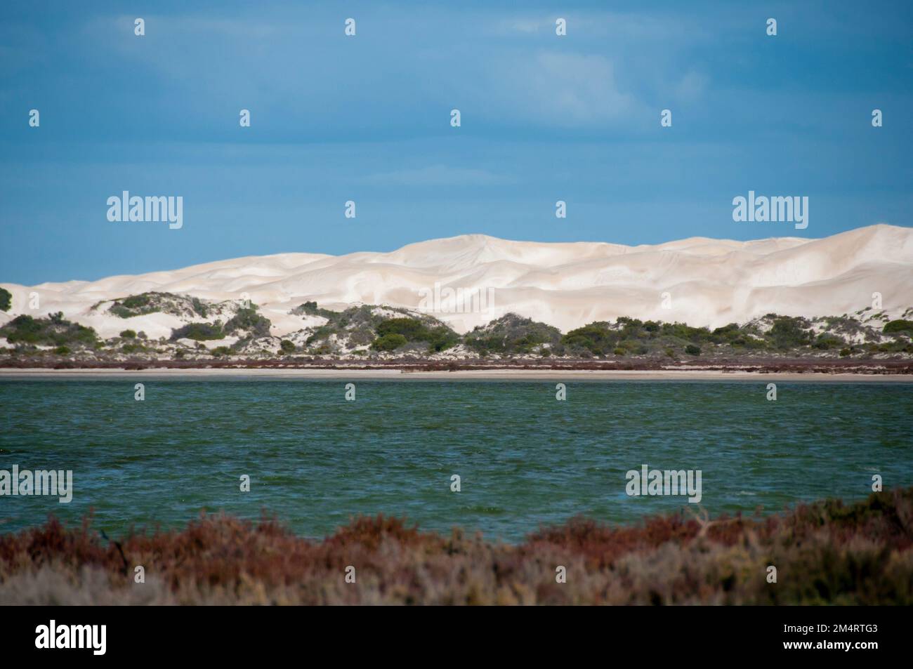 Point Sinclair Sand Dunes - South Australia Stock Photo - Alamy