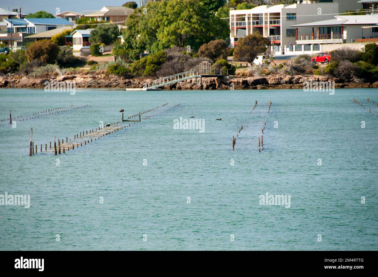 Oyster Traps - Coffin Bay - Australia Stock Photo - Alamy