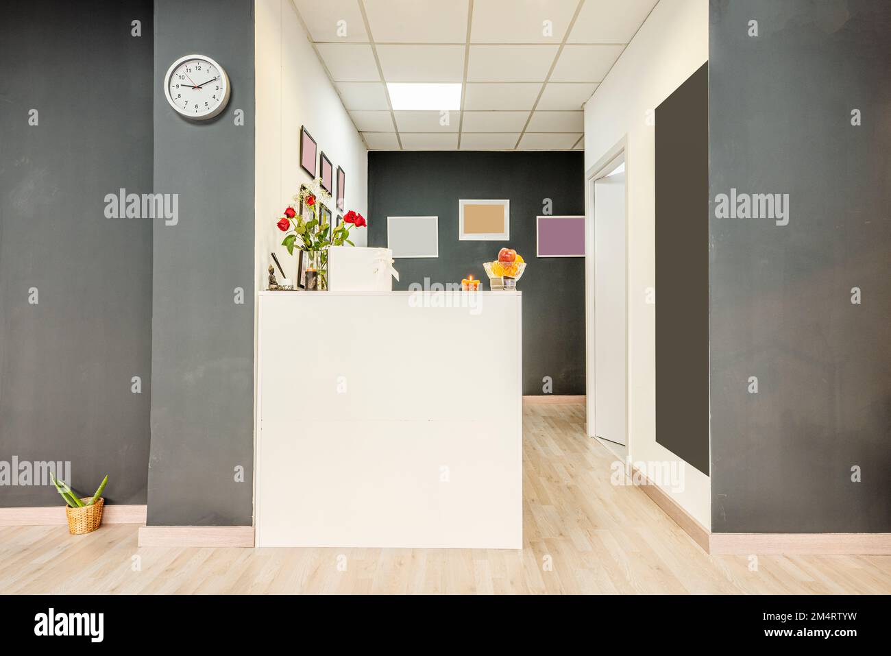 White reception desk with flowers, wooden floors and gray and white ...