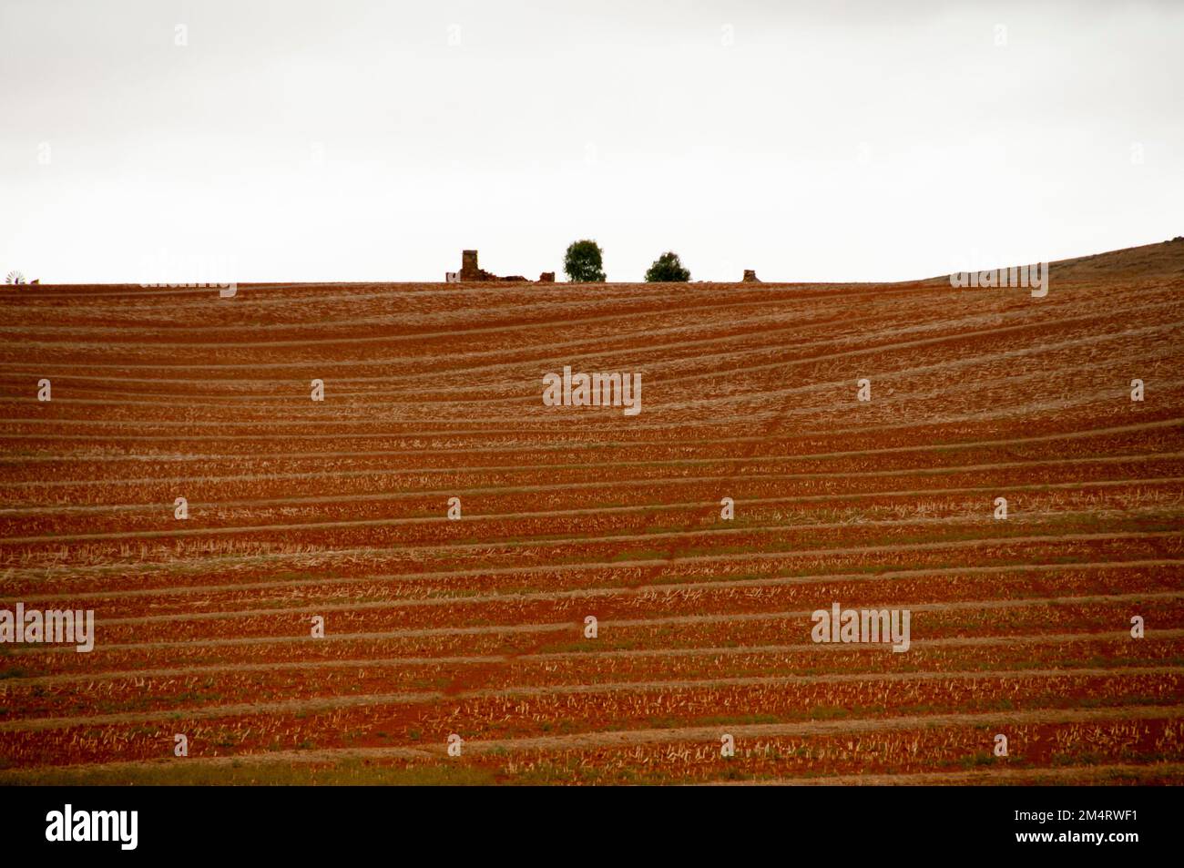 Agricultural Fields in the District of Orroroo - South Australia Stock ...
