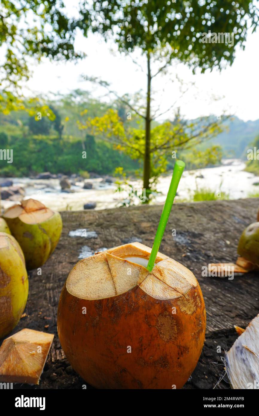 Drinking coconut water with a straw beside the river rafting view ...