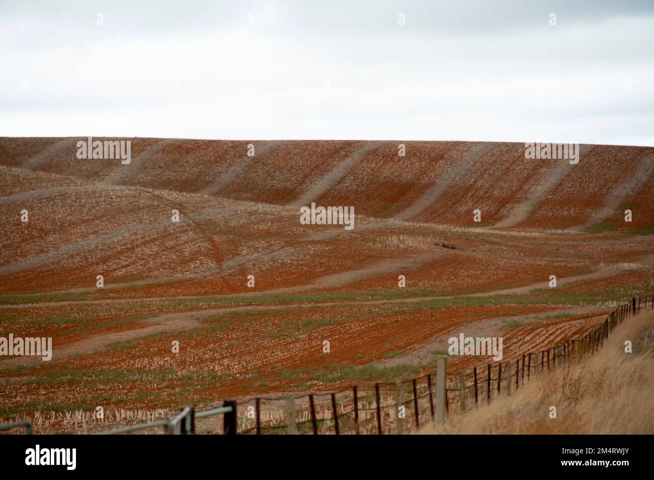 Agricultural Fields in the District of Orroroo - South Australia Stock ...